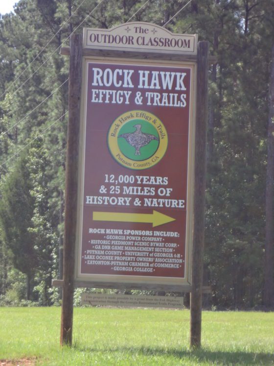 Rock Hawk Gallery